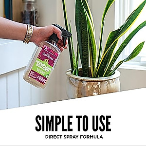 Aunt Fannie’s Houseplant & Garden Insect Remedy, Indoor and Outdoor Plant Insect Killer (3-Pack)