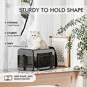 X-ZONE PET Cat Carrier Pet Carrier Portable Kitten Carrier for Small Medium Cats Under 25 Lbs,Cat Carrying Case with Removable Fleece Pad,Airline Approved Soft Sided Pet Travel Carrier