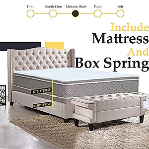 Greaton 11-Inch Medium Plush Foam Encased Hybrid Eurotop Pillowtop Innerspring Mattress and 8" Wood Box Spring/Foundation Set, 75" X 48"