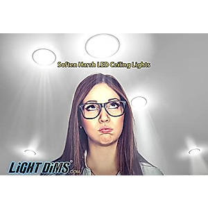 LightDims White Dims Self Adhesive Dimming/Softening Sheets for Harsh LED Lights Medium Size (2 Sheets) Neutral Color & a Free Mystery Gift Sheet (3 Sheets Total). Packaging May Vary