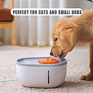 YNNICO Pet Fountains - Best for Cats and Small to Medium Dogs - Fresh, Filtered Water Dispenser - 1/2 Gallon Capacity (Fresh White)