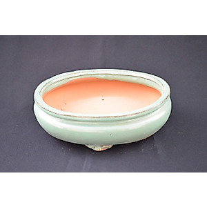 Bonsai Ceramic Pot 10", Green, Oval, Green Color, Glazed with draining Holes.