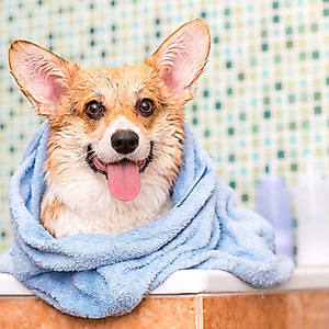 Merrick Fresh Kisses Oral Care Chews Dental Dog Treats with Coconut - Small Snacks for Pups 15-25 Lbs (9 Count) - Plus Rope Toy and Fun Animal Facts Booklet Bundle