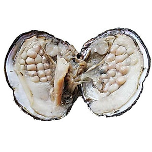 Oyster with Pearl Inside, Freshwater Cultured Oval Pearl Beads (5-7mm about 18pcs Pearls) Gifts