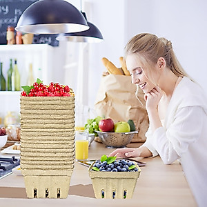 30 Pack Natural Pulp Fiber Berry Basket,Small Molded Produce Vented Basket Kitchen Supplies for Strawberry Blueberry Raspberry, Fruit Tray for Fruit Vegetable Farmer Market Grocery (Small)