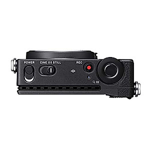 Sigma FP Mirrorless Digital Camera (C43900)