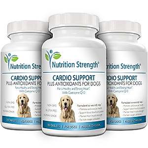 Nutrition Strength Cardio Support for Dogs Plus Antioxidant, L-Carnitine, L-Taurine, with Coenzyme Q10 and Vitamin E, Promotes a Healthy and Strong Dog Heart, 120 Chewable Tablets