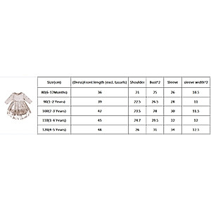 Vintage Princess Kids Baby Flower Girls Dress Silver Velvet Tassels Dresses Ruffle Long Sleeve Floral Lace Dress (Silver, 6-12Months)