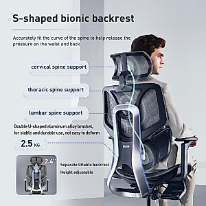 Hbada Ergonomic Office Chair with Elastic Adaptive Lumbar Support, High Back Office Chair with High-Density Mesh, Backrest Height Adjustable Desk Chair with 3D Armrests and Footrest, Black