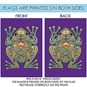 Toland Home Garden 119609 Animal Spirits- Frog Frog Flag 12x18 Inch Double Sided Frog Garden Flag for Outdoor House Indigenous Flag Yard Decoration