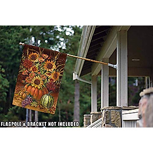 Toland Home Garden 102529 Fall Burst Fall Garden Flag 28x40 Inch Double Sided for Outdoor House Yard Decoration