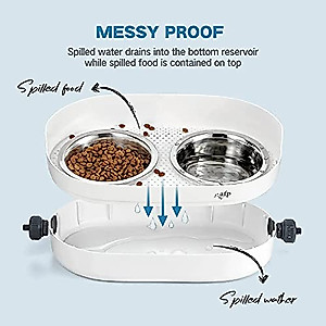 All for Paws Height Adjustable Cat Elevated Bowls Stainless Steel Dog Food Water Bowls, Height Adjustable Cat Feeder Mess Proof Pet Feeding Bowls(Small)