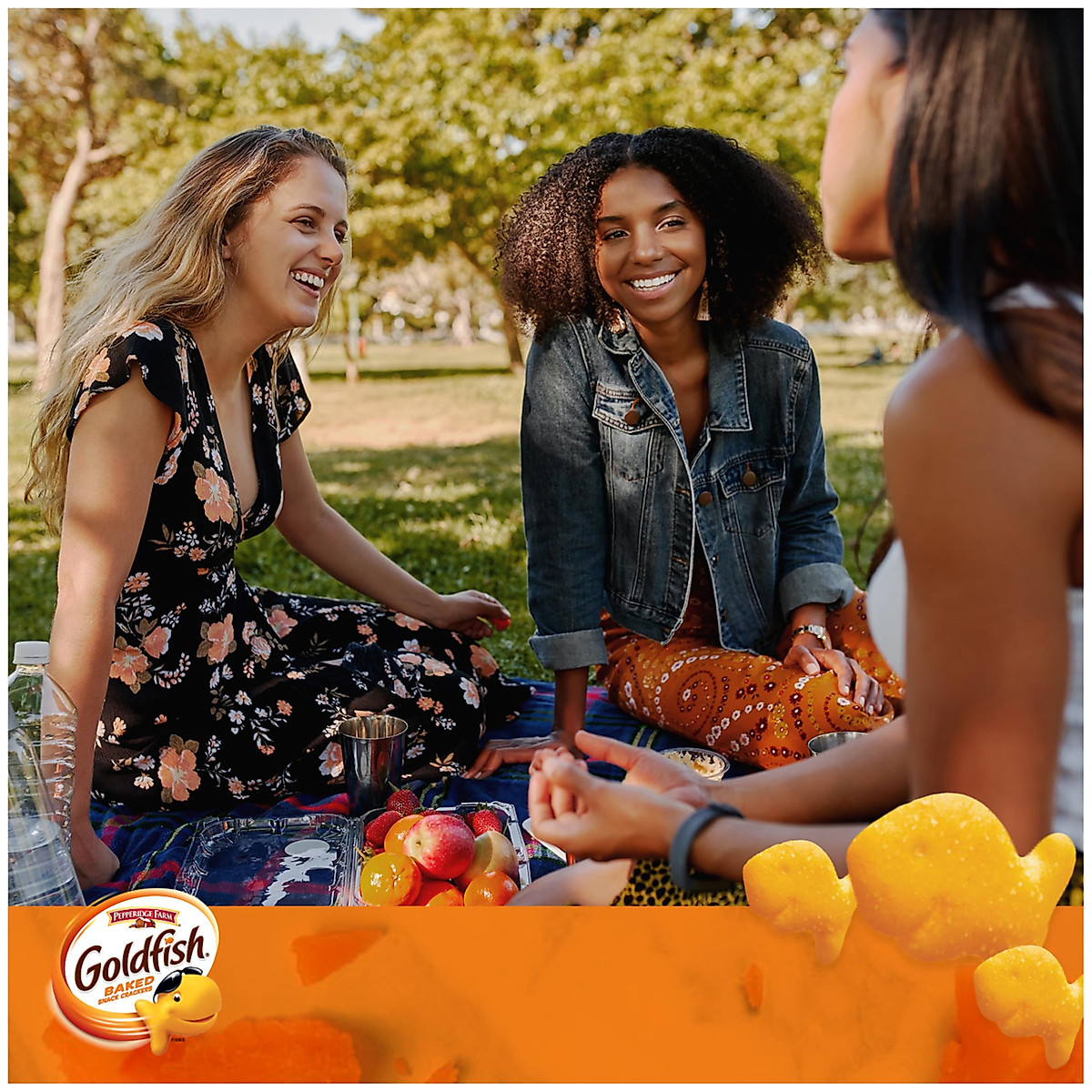 Pepperidge Farm Goldfish Cheddar Crackers, 1.5 oz. Snack Packs, 30 Count