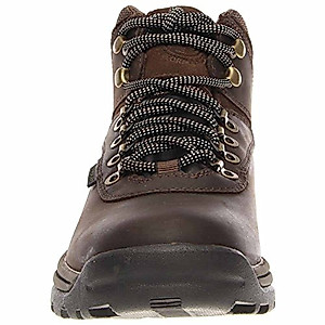 Timberland womens White Ledge Mid Hiking Boot, Dark Brown, 8.5 US