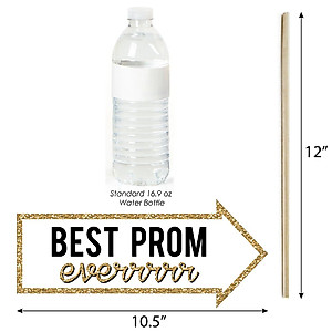 Big Dot of Happiness Funny Prom - Prom Night Party Photo Booth Props Kit - 10 Piece