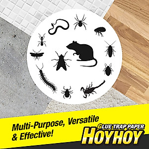 HOY HOY Mice & Flies Glue Trap Paper - 50 Traps [1 Pack] Ready-to-Use Super Strong Glue Multi-Purpose Pest Rodent Killer Trap, Gnat Moth Insects Spider Crickets Roach Rat Snake Lizard, Made in Japan