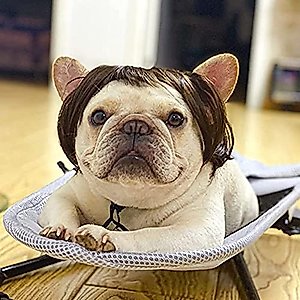 DooMase Funny Pet Clothing Pet Wig Pet Halloween Special Events Costume for Dog & Cat (Flaxen Wig, One Size)