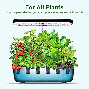 QYO Seed Pods kit for Hydroponics Garden Kit with 12pcs Growth Sponges,12pcs Basket Kit, A&B Solid Nutrient (Seeds not Included)
