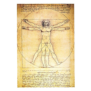 The Gifted Stationery Leonardo da Vinci Posters for Decorations (13 x 19 in, 20 Pack)