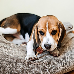 SPOT Pup Ice Ready to Freeze at Home Dog Treats-Edible Chews for Medium Breed Dogs & Puppies with Real Chicken | 3 Pack Bundle Edible Dog Treats (Strawberry, Chocolate & Banana) 6 Psc