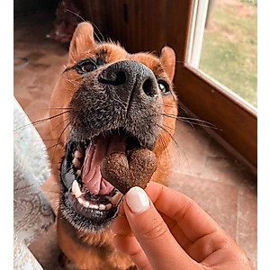 SHAMELESS PETS Soft-Baked Dog Treats, 6oz (Duck Duck, Beet 3-Pk) | Natural, Grain-Free Dog Biscuits | Supports Healthy Digestion | Made w/Upcycled Ingredients