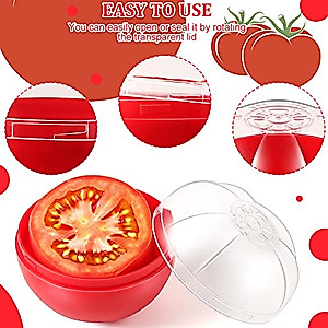 Vegetable and Fruit Storage Containers for Fridge, 3 Pieces BPA Free Reusable Food Saver - Tomato, Lemon, Onion Keeper Holder - Refrigerator Vegetable Crisper for Making Food Stays Fresh Longer