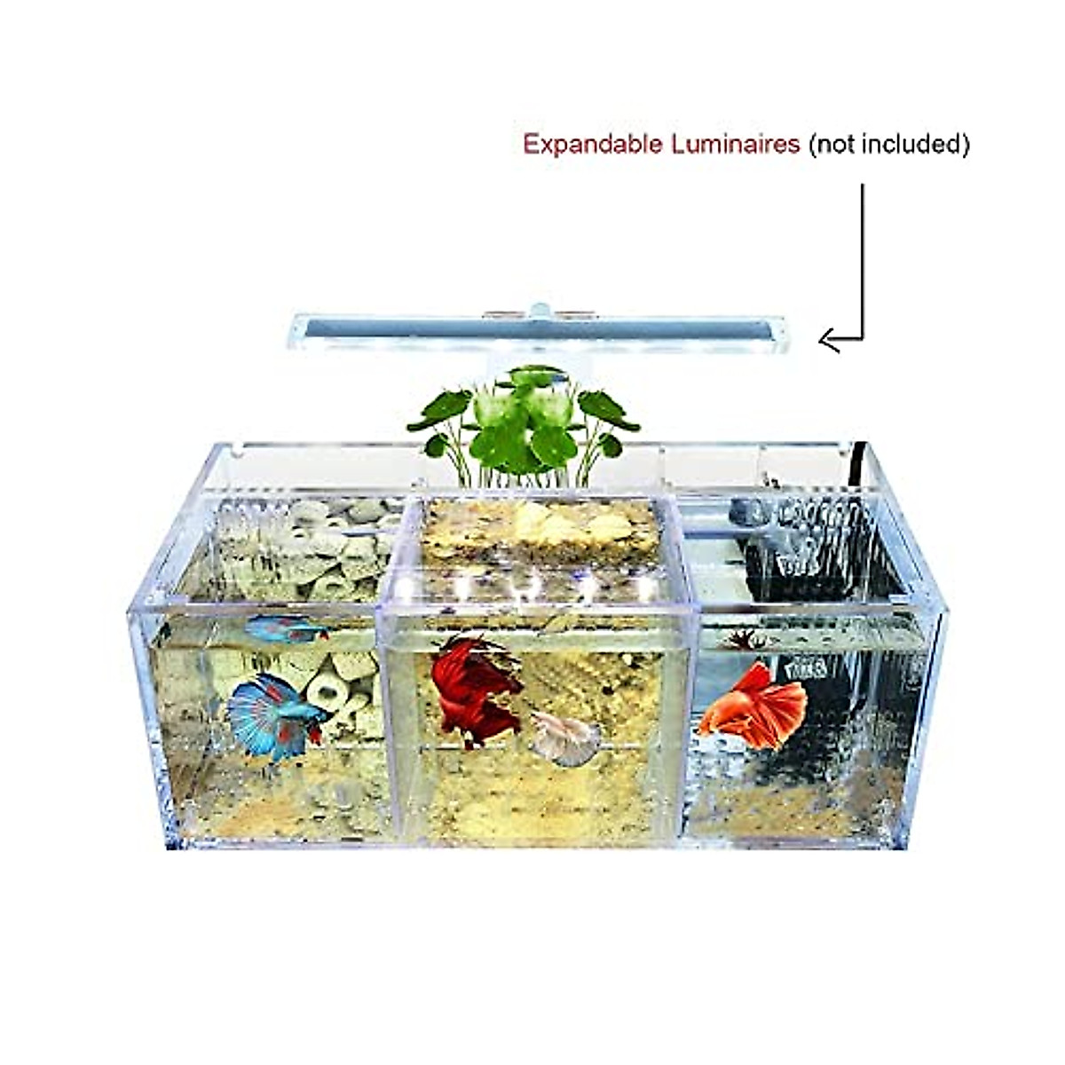 Milscat Betta Fish Tank Acrylic Material Mini Desktop Aquarium Goldfish Mini Fish Tank Sick Fish Isolation Room（Three Lattice Space）