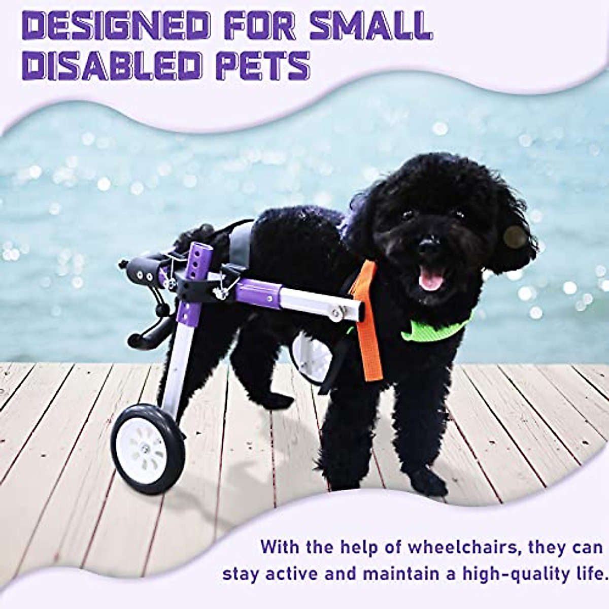 HobeyHove Adjustable Dog Wheelchair for Back Legs，Pet/Doggie Doggy Wheelchairs with Disabled Hind Legs Walking (XS-A)