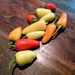David's Garden Seeds Pepper Hot Santa Fe Grande FBA-00060 (Multi) 25 Non-GMO, Heirloom Seeds