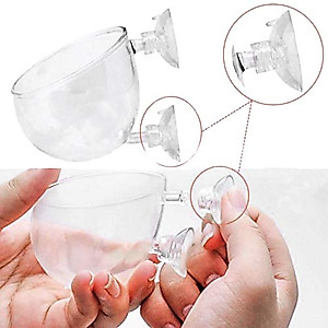 DGZZI Crystal Glass Aquatic Plant Pot Aquarium Aquatic Planter Holder with 3PCS Suction Cups for Fish Tank Aquarium Decoration