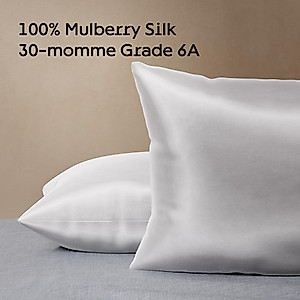 Niagara 100% Mulberry Silk Pillowcase - 30 Momme Silk Pillow case for Hair and Skin - Grade 6A Silk Pillow Cases with Zipper - Soft & Cooling Beige Silk Pillowcase Standard Size (20"x26")