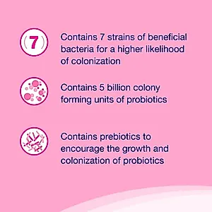 Nutramax Proviable Digestive Health Supplement Multi-Strain Probiotics and Prebiotics for Cats and Dogs - with 7 Strains of Bacteria, 80 Capsules