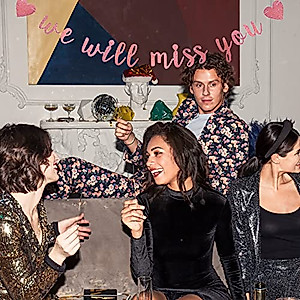 Rose Gold Glitter We Will Miss You Bunting Banner Party Decorations for Going Away Party, Farewell Party, Retirement Party Supplies