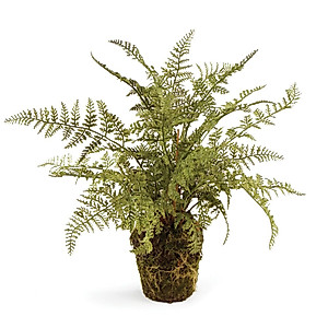 NAPA Home & Garden Soft Fern Drop-in 13"
