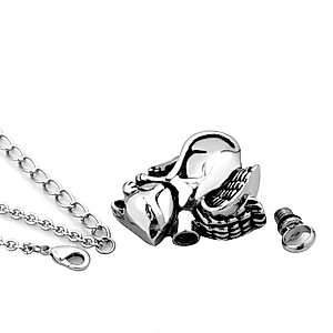 LovelyCharms Cat Animal Urn Necklace For Ashes Keepsake Memorial Cremation Pendant