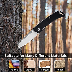 Pocket Knife with G10 Handle, 2.6" 8Cr13MoV Stainless Steel Blade, Safety Liner Lock, Belt Clip - Perfect for Camping, Hiking, Fishing, and Every Day Carry, Black