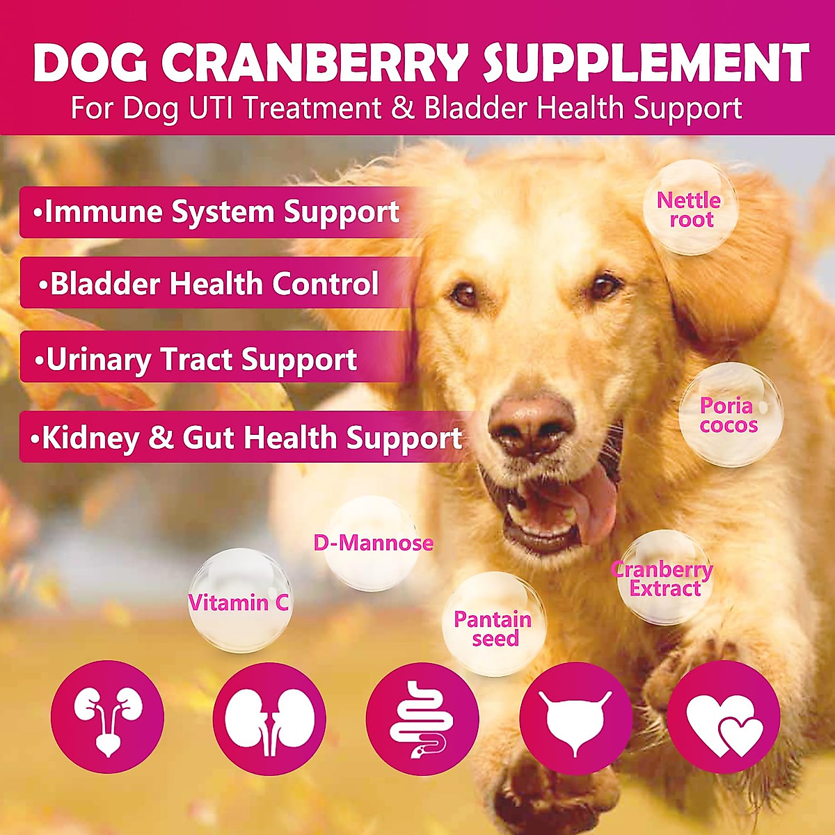 Cranberry Bladder Health for Dogs - Dog Antioxidant- 160 Cranberry Soft Chew Supplements for a Healthy Urinary Tract and Bladder Control – Made with Cranberry & D-Mannose & Vitamins (Chicken Flavor)