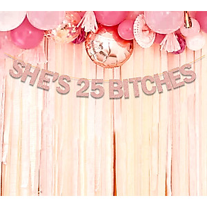 Ushinemi She's 25 Bitches Banner 25th Birthday Decorations for Women, Funny Glitter Rose Gold Birthday Banner 18 Birthday Party Supplies