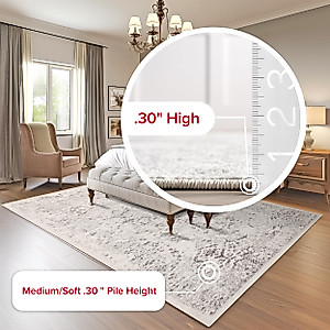 nuLOOM Odell Faded Vintage Area Rug, 4' Square, Ivory