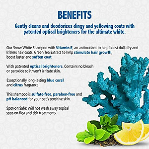 Veterinary Formula Solutions Snow White Shampoo for Dogs and Cats, 17 oz – Safely Remove Stains Without Bleach or Peroxide – Gently Cleanses, Deodorizes and Brightens White Coat – Fresh Scent