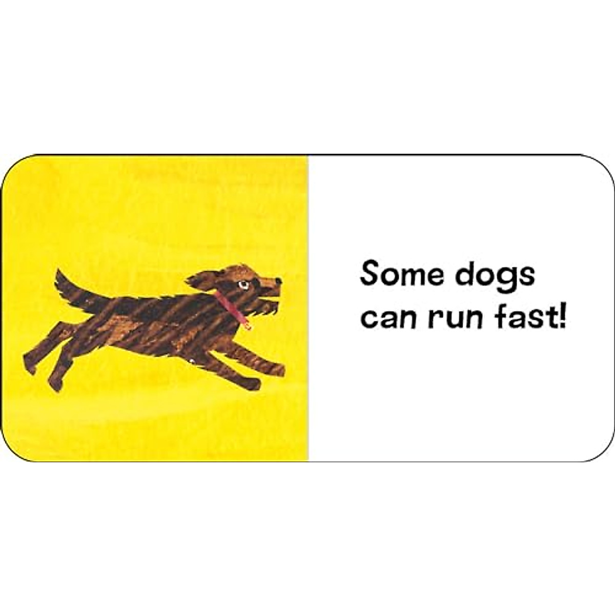 World of Eric Carle, My First Library Animal Board Book Block 12-Book Set - PI Kids