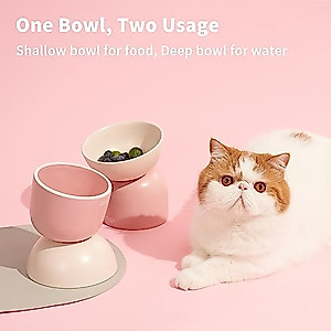 MS!MAKE SURE Cat Bowl, Elevated/Raised Ceramic Cat Food Bowl, Protects Spine, Relieves Whisker Fatigue, Superb Anti-Bacterial, Perfect for Indoor Cats (Green)
