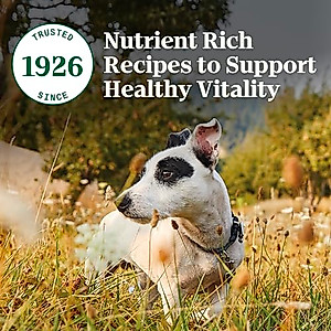 Nutro Natural Choice Senior Small Breed Dry Dog Food, Chicken and Brown Rice Recipe, 5 lbs.