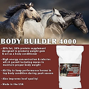 Pennwoods Body Builder 4000, Horse Weight Gain Supplement, High Fat and Energy Horse Weight Builder with Body Conditioning Horse Vitamins, Improves Hoof Quality - 11 LB Bag
