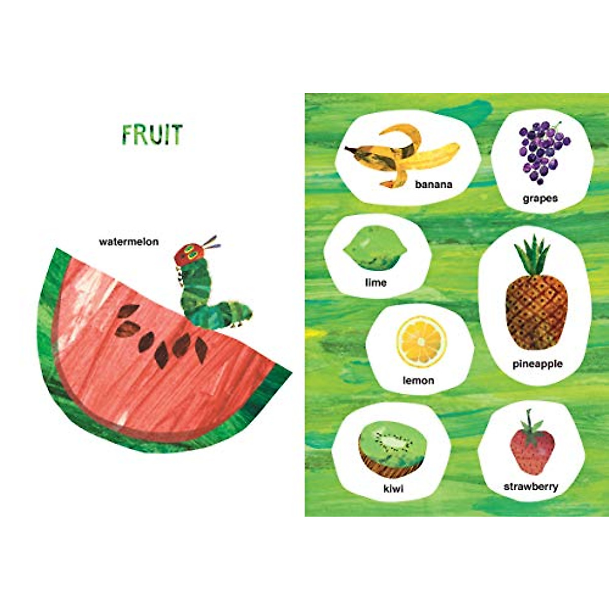 Eric Carle's Book of Many Things (The World of Eric Carle)