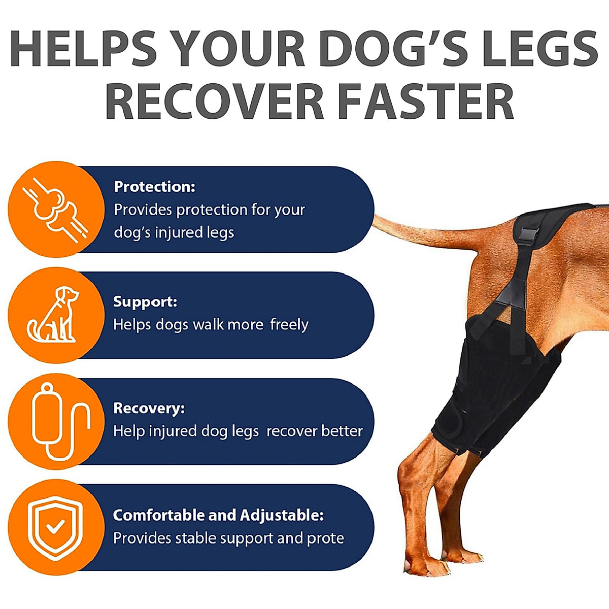 Huimpet Dog Knee Leg Brace, Dog ACL Brace for Back Hind Rear Leg, Dog Leg Support Brace for Torn ACL Tear, Luxating Patella, Hip Dysplasia and Dog Arthritis, Adjustable (Large)