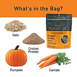 Jiminy's Cricket Treats - Chewy Hypoallergenic Dog Treats, 100% Made in The USA , Cricket Dog Treats, Gluten-Free, Sustainable, All Natural Dog Treats, High Protein - Pumpkin & Carrot, 6oz Bag