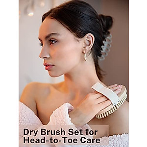 Vegan Dry Brush for Cellulite and Lymphatic Drainage Massage, Natural Firm and Soft Brushes, Cactus Bristles, Dry Skin for Face and Body Set for Brushing, Scrub with Handle