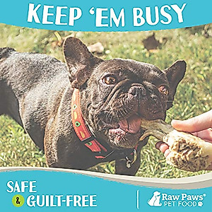 Raw Paws Freeze Dried Duck Necks for Dogs, 5-oz - All Natural Duck Dog Treats Made in USA Only - Human-Grade, Single Ingredient Duck Neck Dog Treat - Raw Freeze Dried Dog Treats