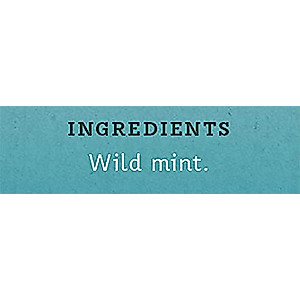 Stash Tea Super Mint Herbal Tea, Box of 100 Tea Bags